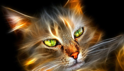 La función de los gatos como guardianes espirituales - Soy Espiritual